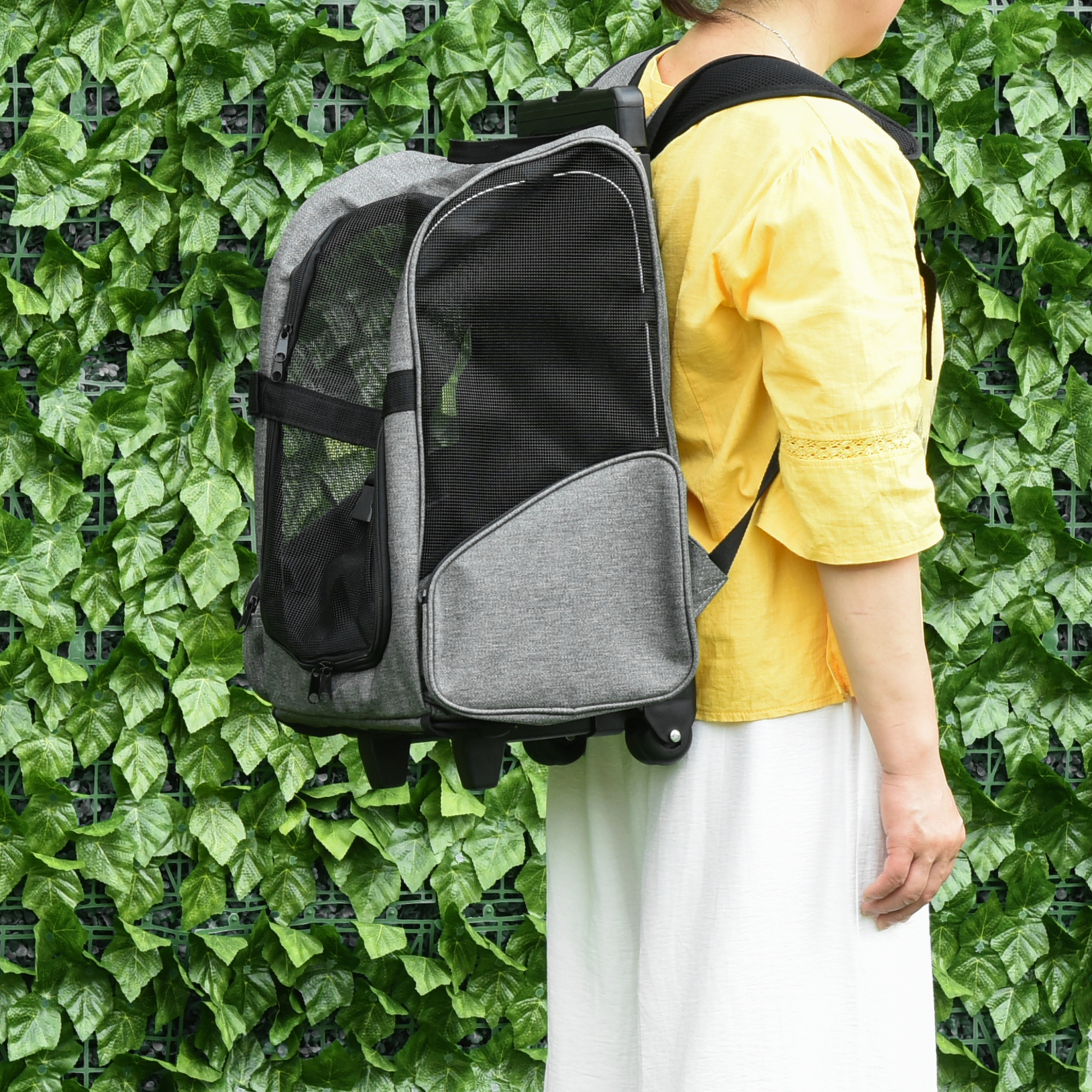 PawHut 2-IN-1 Pet Luggage Box Backpack Carrier Cats Dogs w/ Handle ...