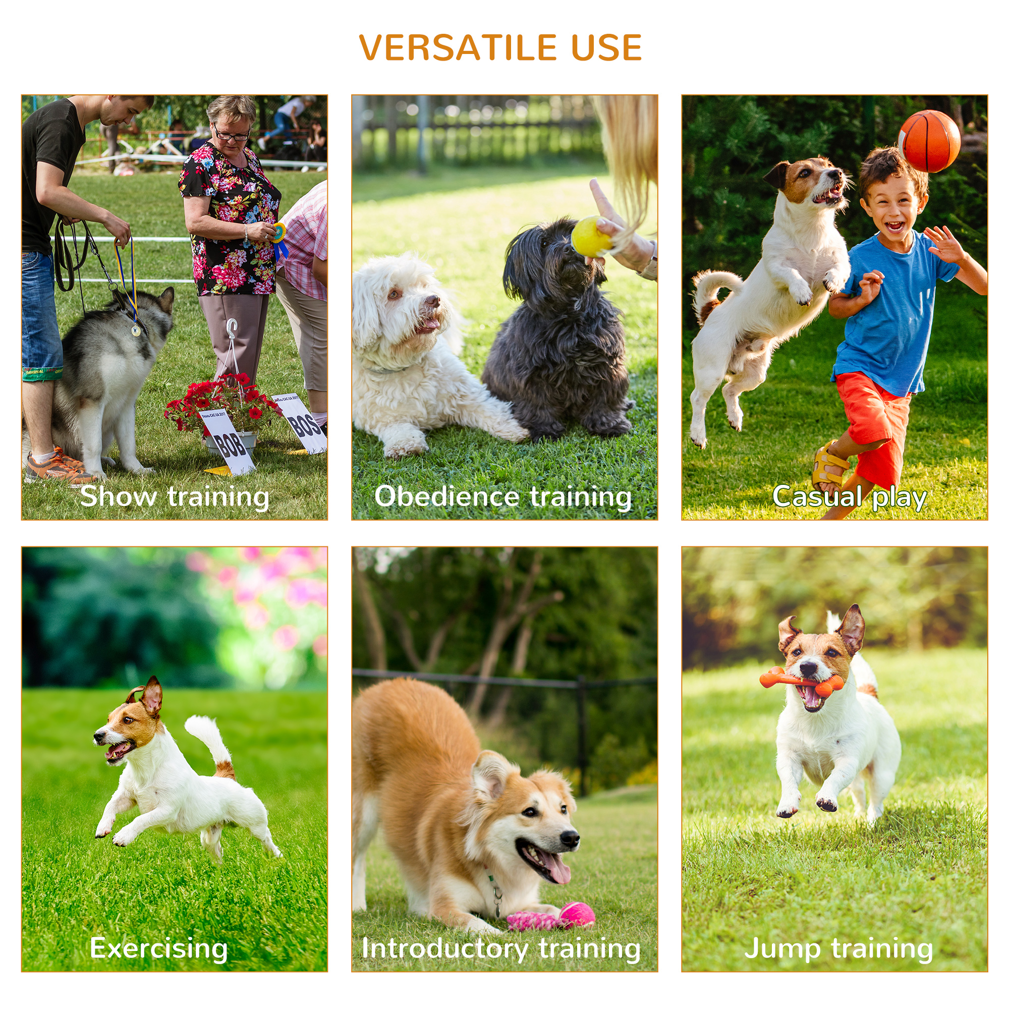 PawHut Portable Pet Agility Training Set Dog Obstacle Exercise ...