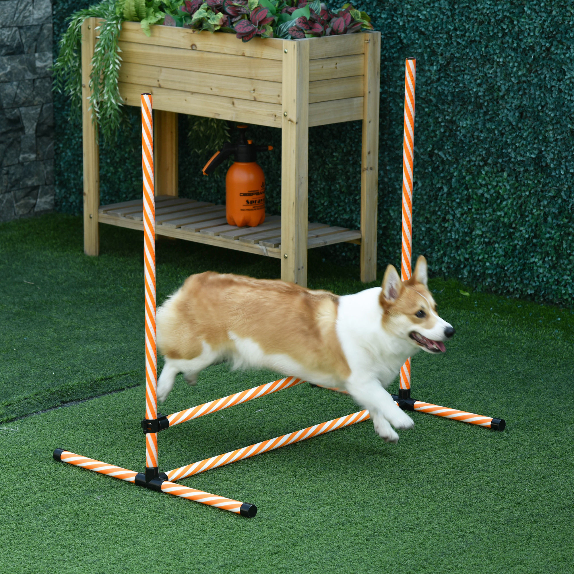PawHut 6 Piece Dog Agility Starter Kit Training Equipment High Jump ...