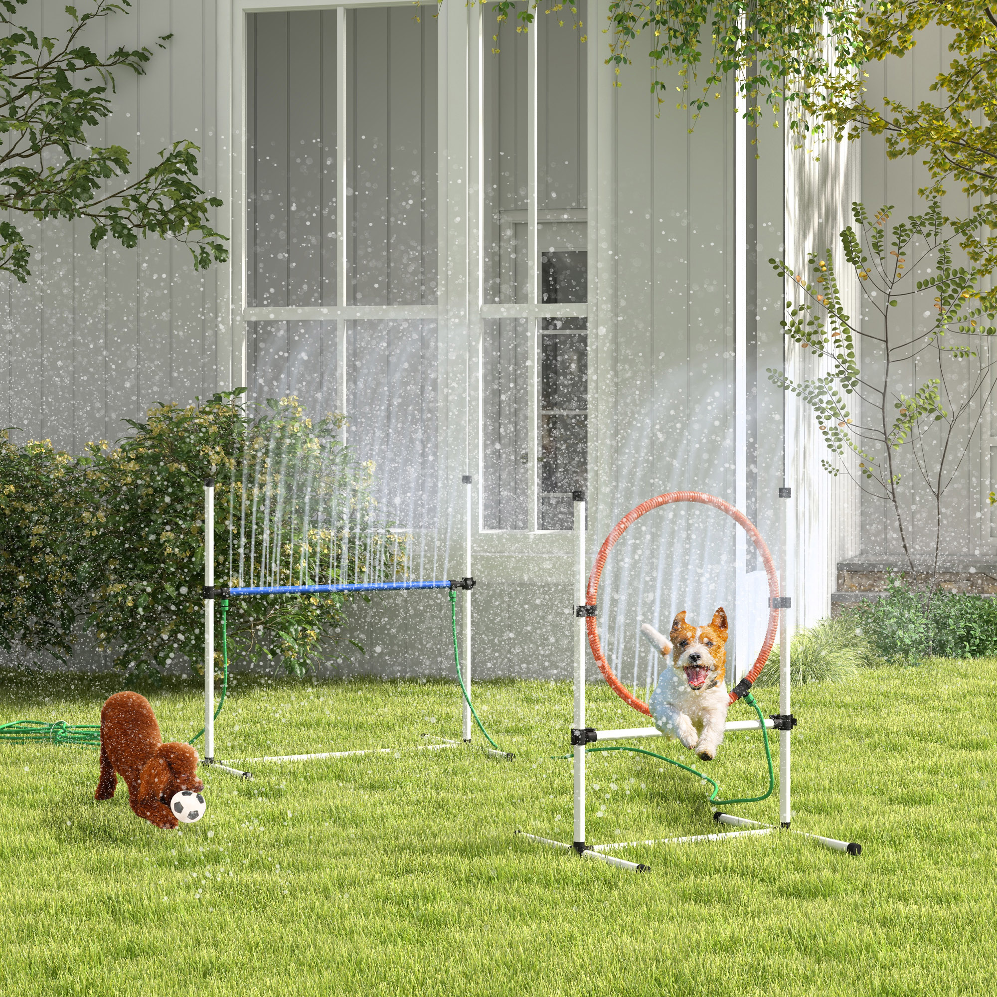 PawHut 5pc Dog Agility Training Equipment Set with Spray Water Tube ...