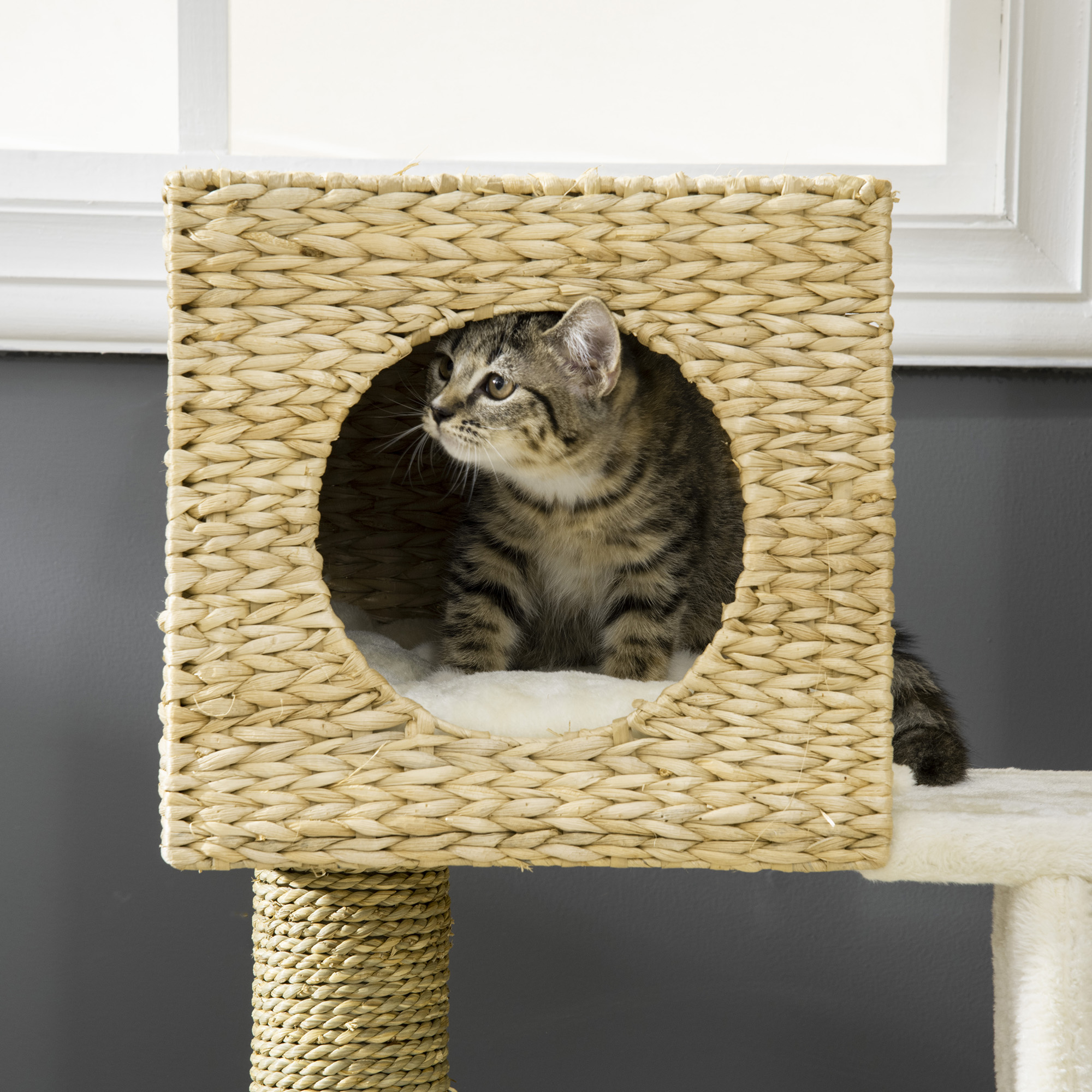 PawHut Cat Tree for Indoor Cats Kitty Tower Cattail Weave with Cat ...
