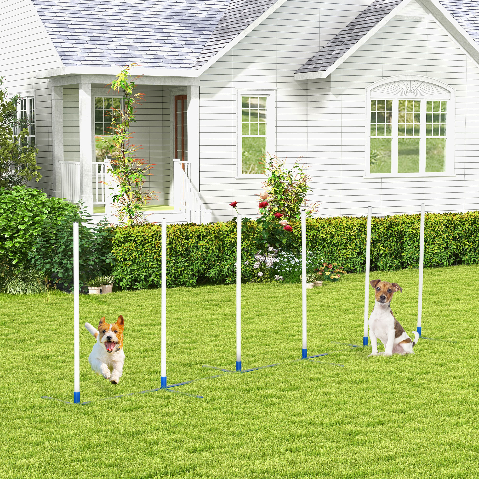 PawHut Adjustable Agility Training Equipment Dog Weave Pole Set Outdoor ...