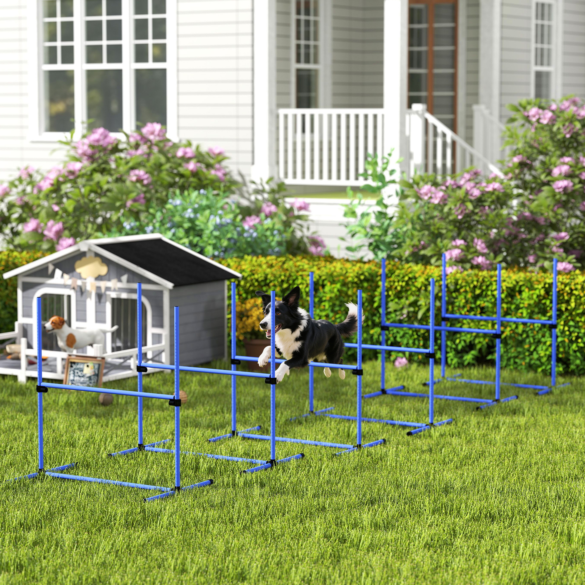 PawHut 6 Piece Dog Agility Set with Adjustable Height Jump Bars, Carry ...