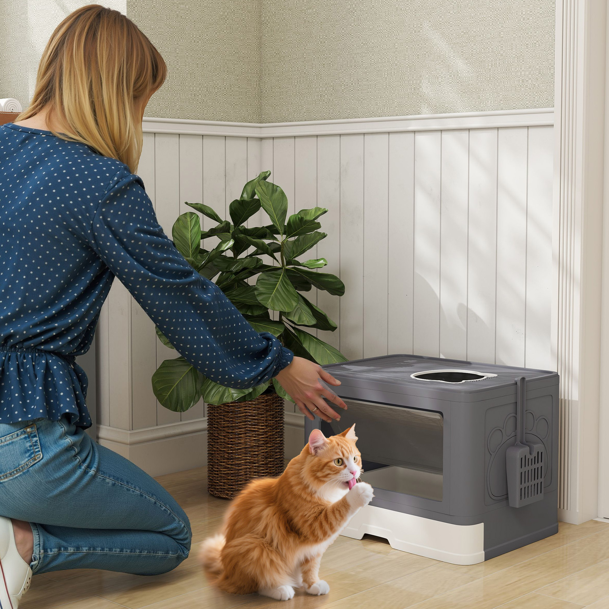 PawHut Cat Litter Box, Front Enter & Top Exit Cat Litter Tray with ...