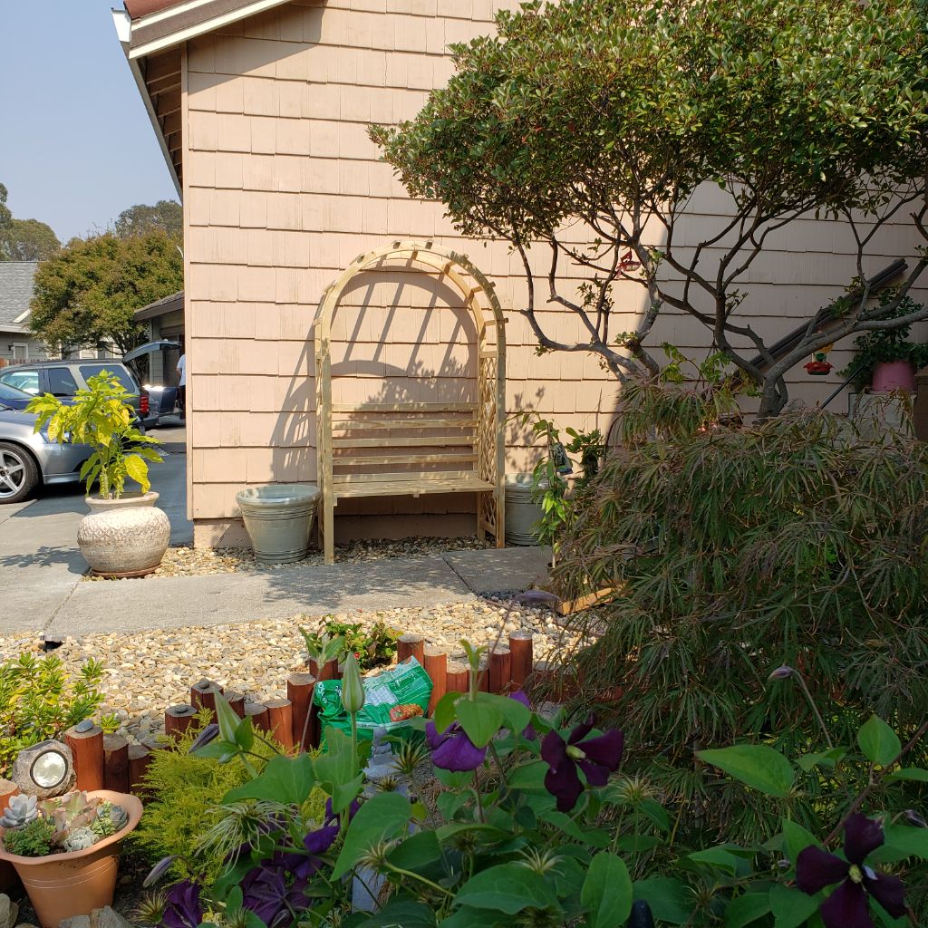 Outsunny Garden Bench with Arch Wooden Bench Trellis for Vines/Climbing ...