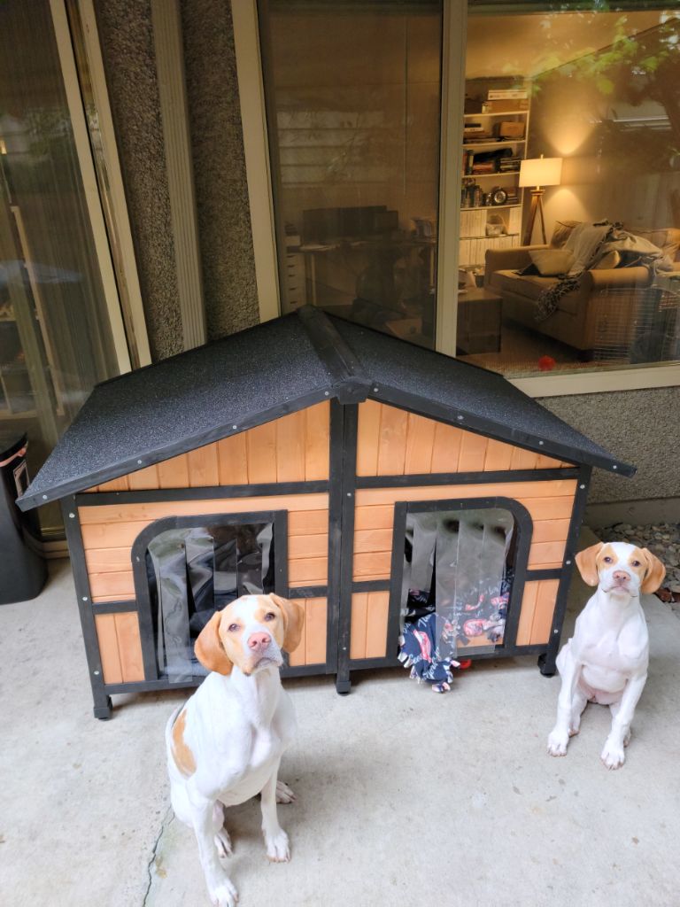 PawHut 59"x64"x39" Wood Large Dog House Outdoor Cabin Style Elevated ...