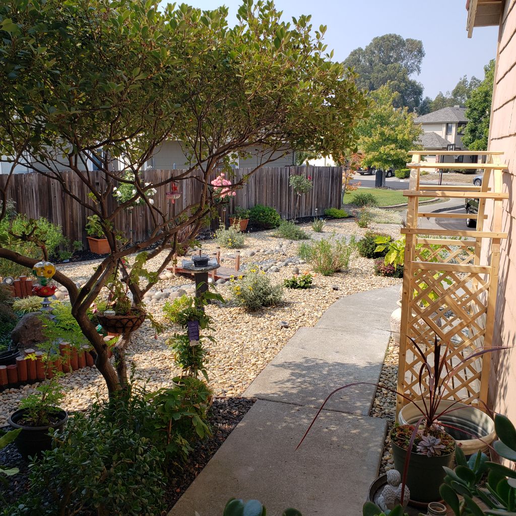 Outsunny Garden Bench with Arch Wooden Bench Trellis for Vines/Climbing ...