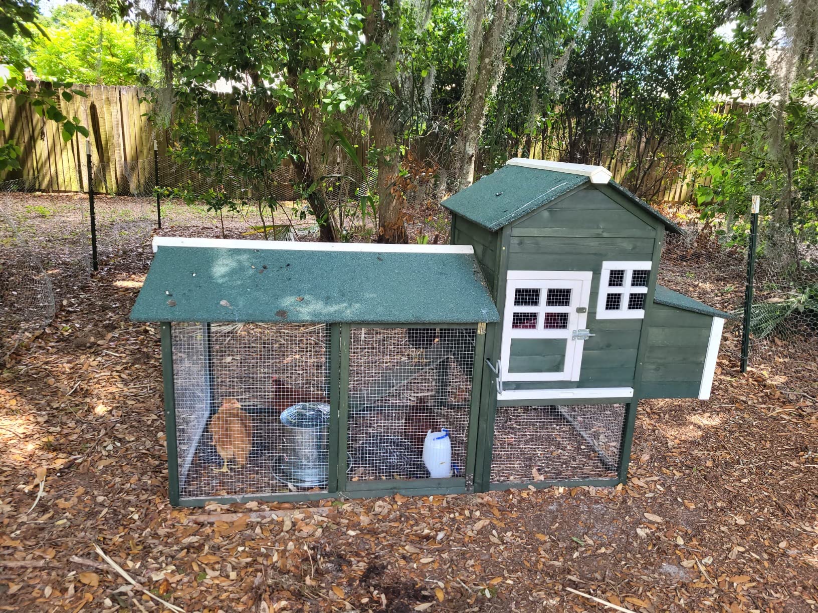 Pawhut Wooden Chicken House Backyard Poultry Hen House Nest Box, Green ...