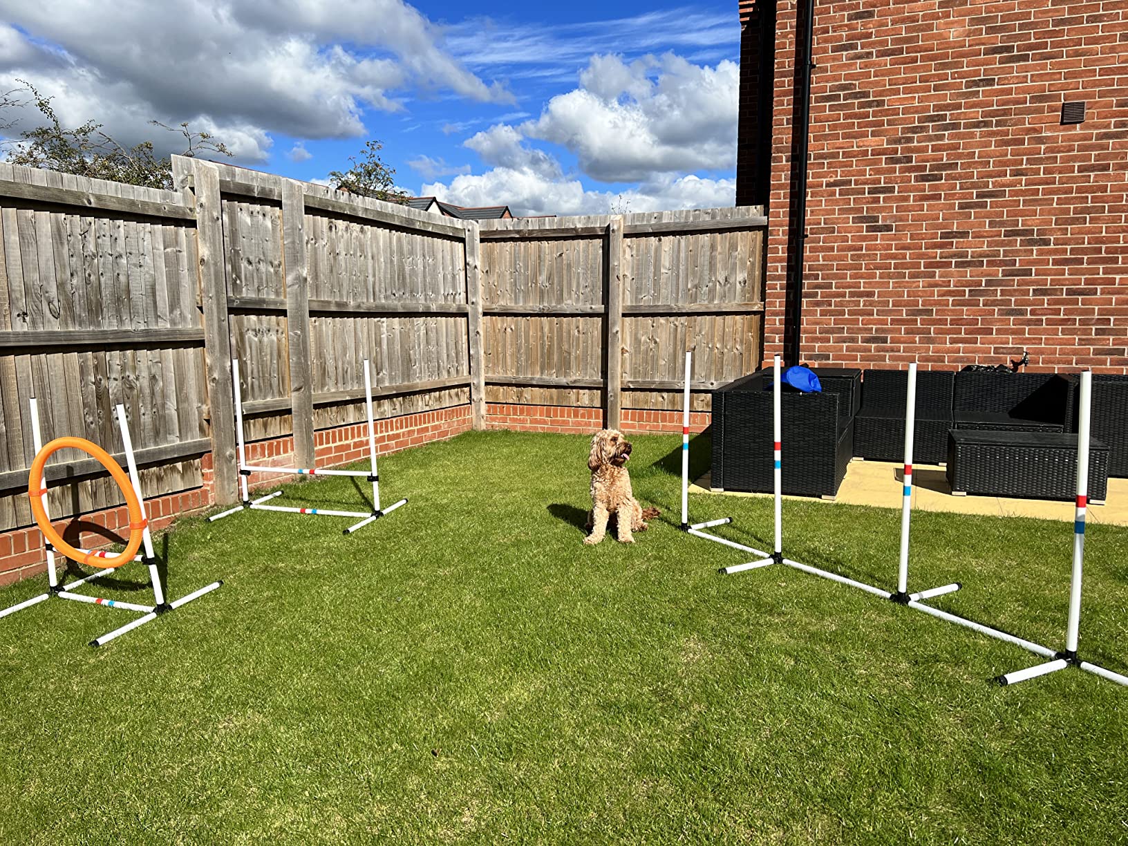 PawHut Portable Pet Agility Training Set Dog Obstacle Exercise ...