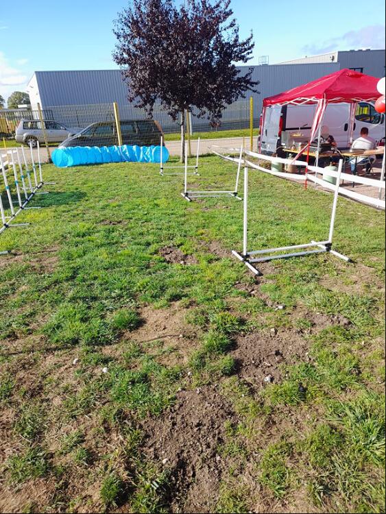 PawHut Adjustable Dog Agility Training Equipment Jump Bar With Carrying ...