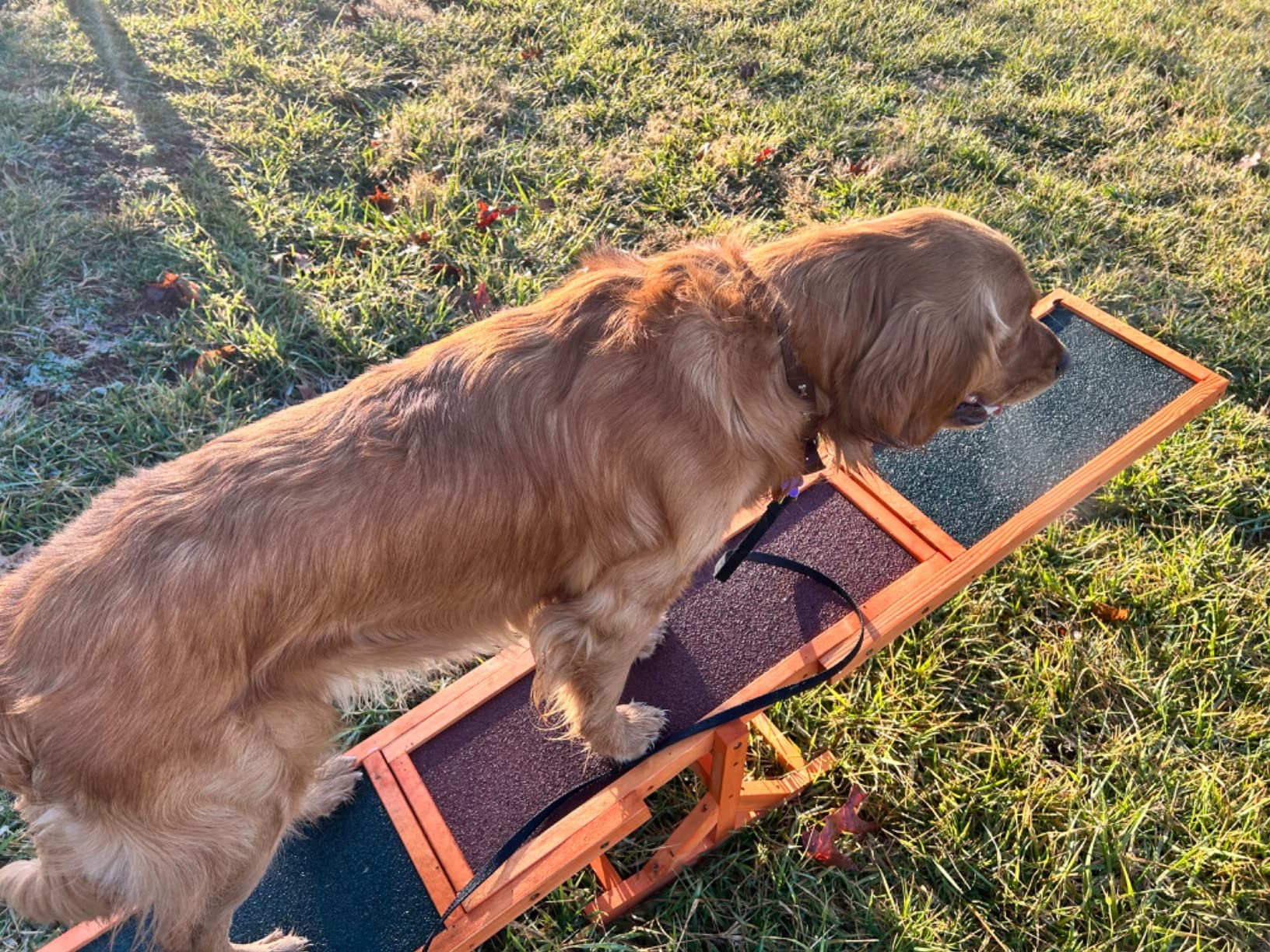 PawHut Wooden Dog Agility Seesaw for Training and Exercise, Gray ...