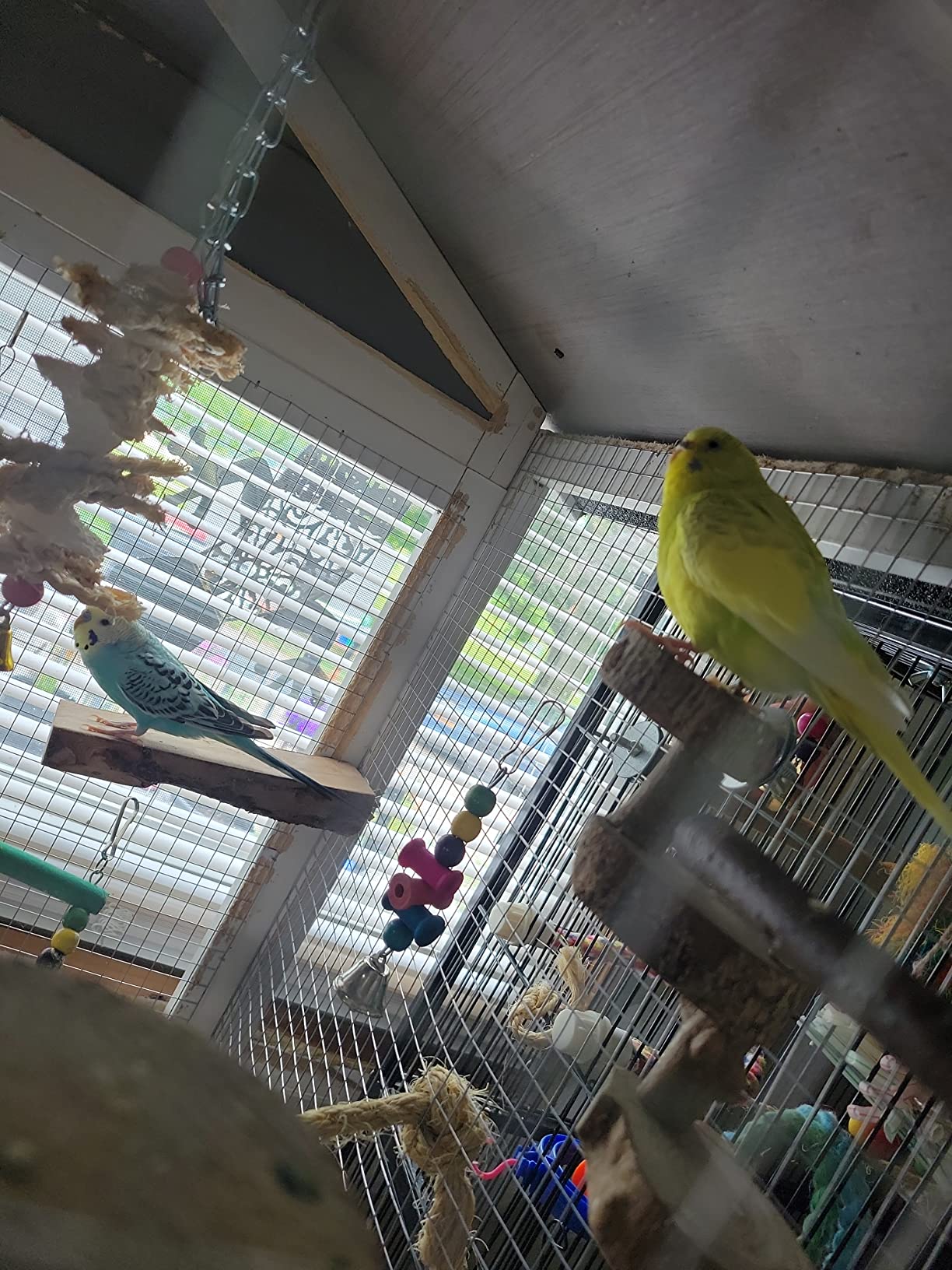 PawHut 64.5" Wooden Bird Cage Aviary, Flight Cage with 4 Perches, Nest ...