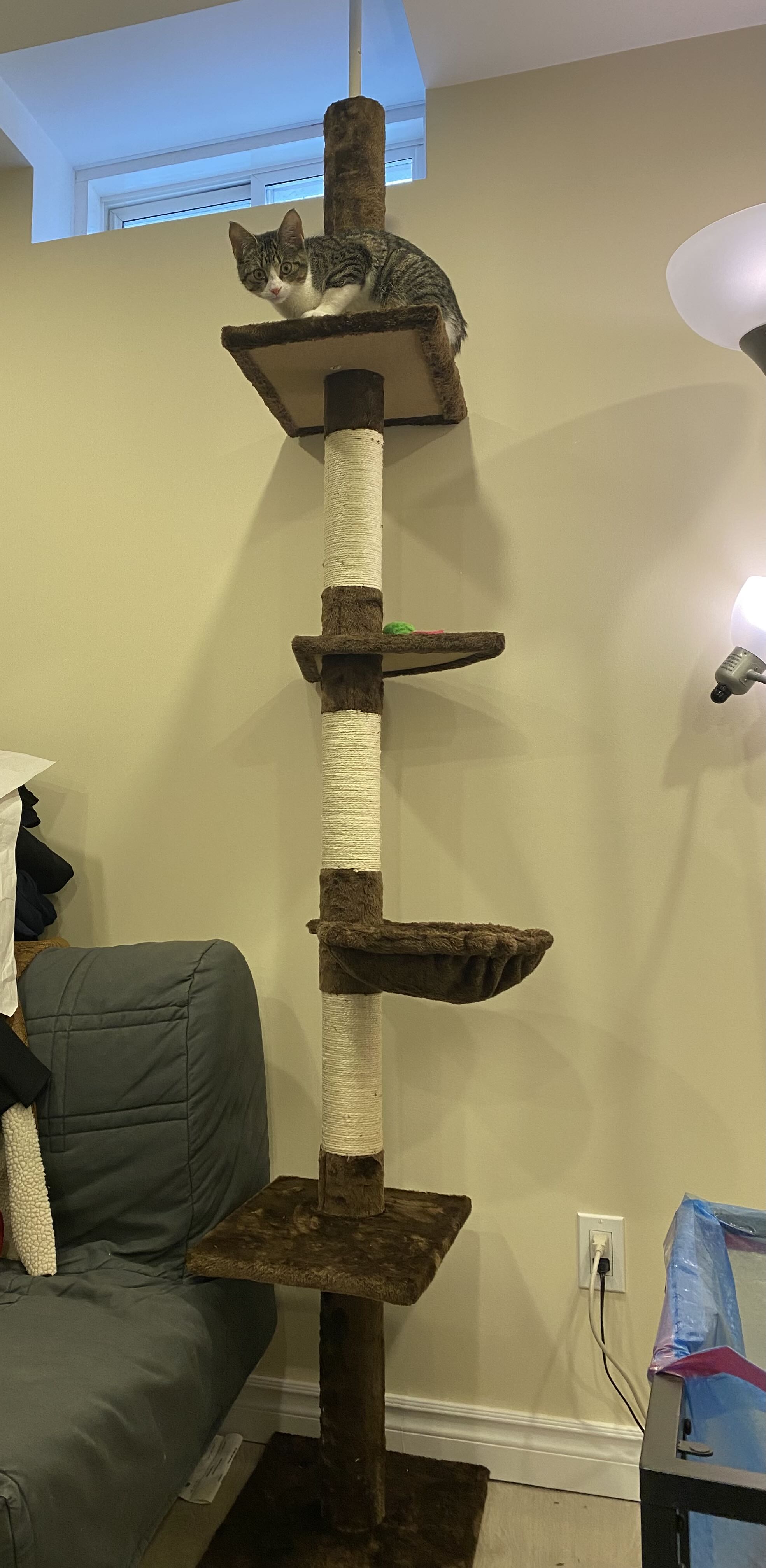 PawHut 9' Modern Cat Tree Adjustable Height Floor-To-Ceiling Vertical ...