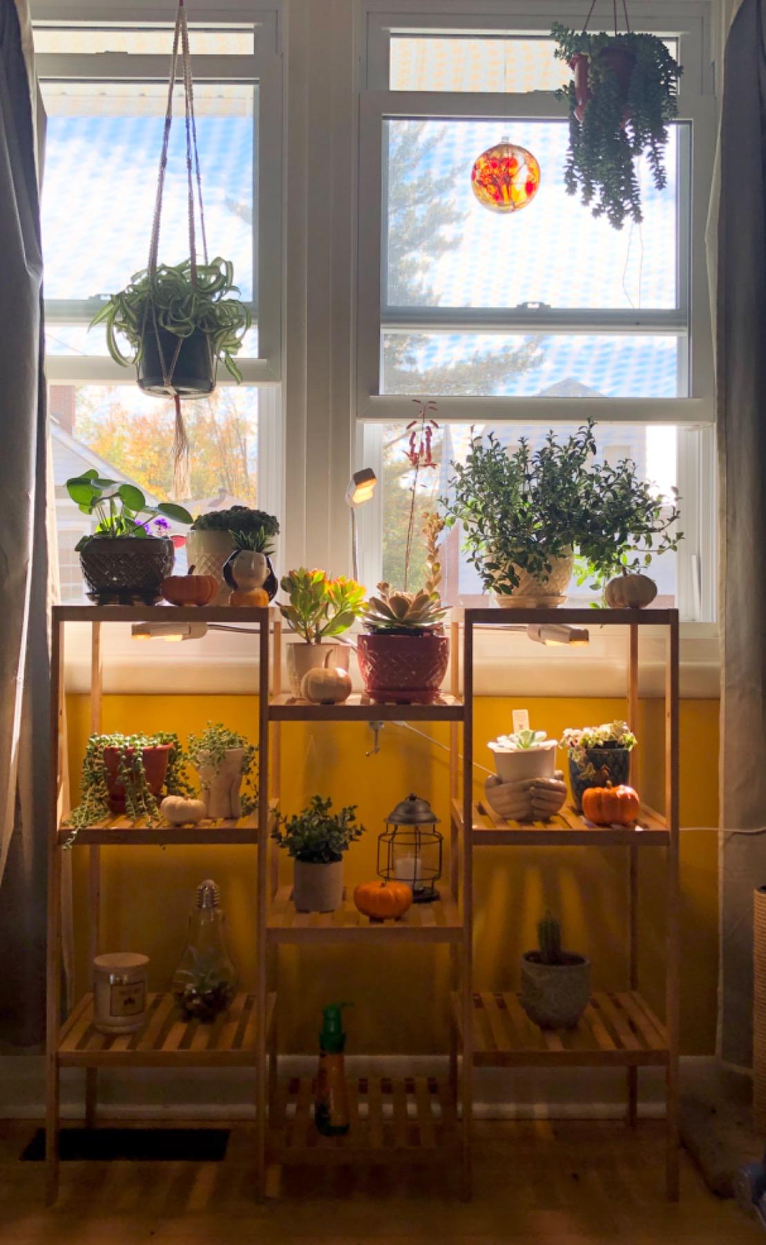 Homcom 9 Tier Bamboo Storage Rack DIY Bamboo Utility Shelf Bathroom ...