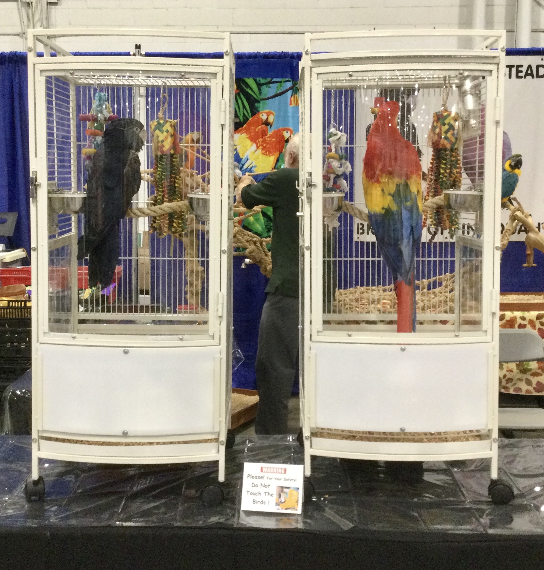 PawHut 54 Inch Bird Cage Parakeet House for finches, budgies with ...