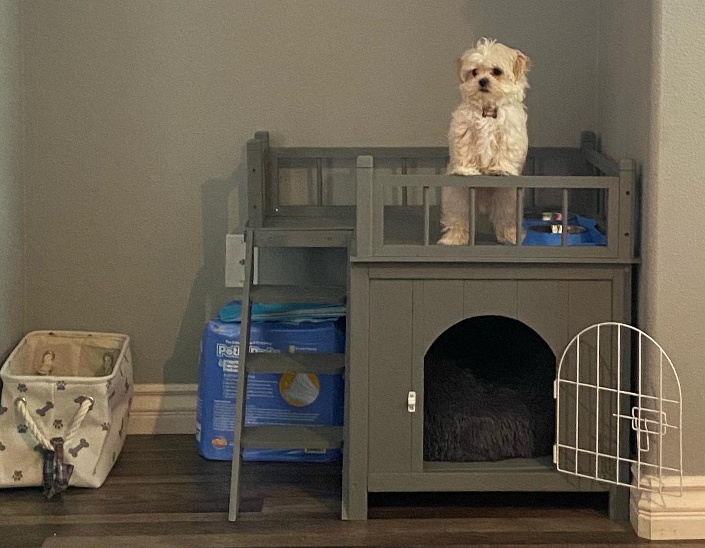 PawHut 2-Story Pet House for Cats Miniature Sized Dogs, Wooden Kitten ...