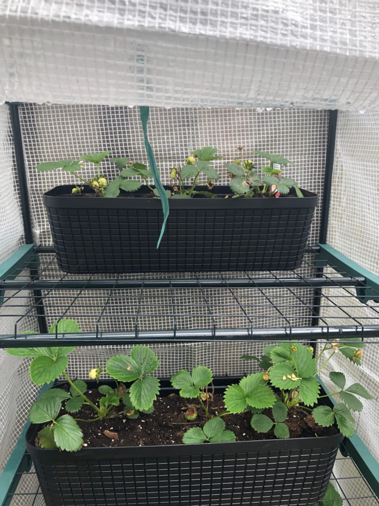 Outsunny Portable Greenhouse, Outdoor Hot House Plant Flower Greenhouse ...