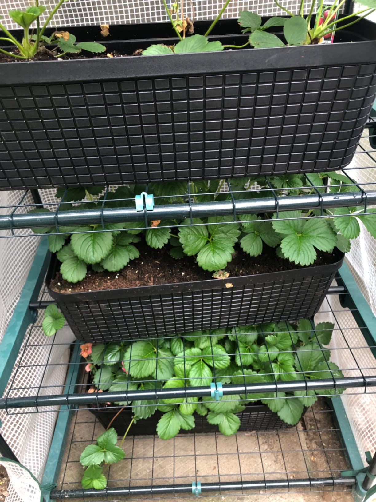 Outsunny Portable Greenhouse, Outdoor Hot House Plant Flower Greenhouse ...