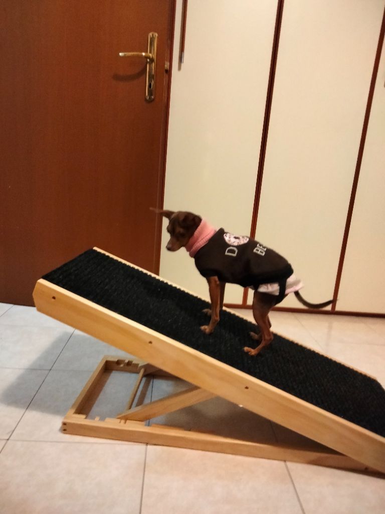 PawHut Pet Ramp Bed Steps for Dogs Cats Foldable Height Adjustable with ...