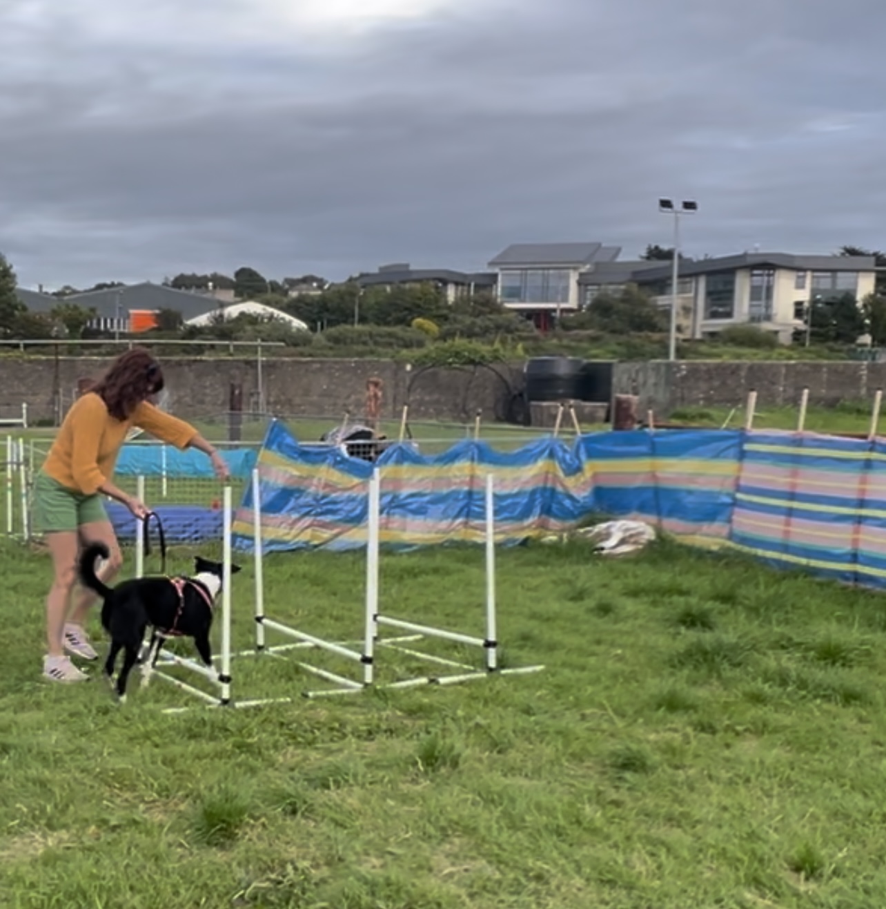 PawHut Adjustable Dog Agility Training Equipment Jump Bar With Carrying ...