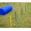 PawHut Competition Dog Agility Equipment Obstacle Course Set | Aosom.com