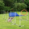 PawHut Outdoor Dog Agility Training Equipment Set | Aosom.com