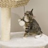 PawHut 47" Cat Tree Kitty Activity Center, Cat Climbing Toy with ...