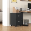 HOMCOM 2-Drawer Small Filing Cabinet Lockable Home Office Storage ...